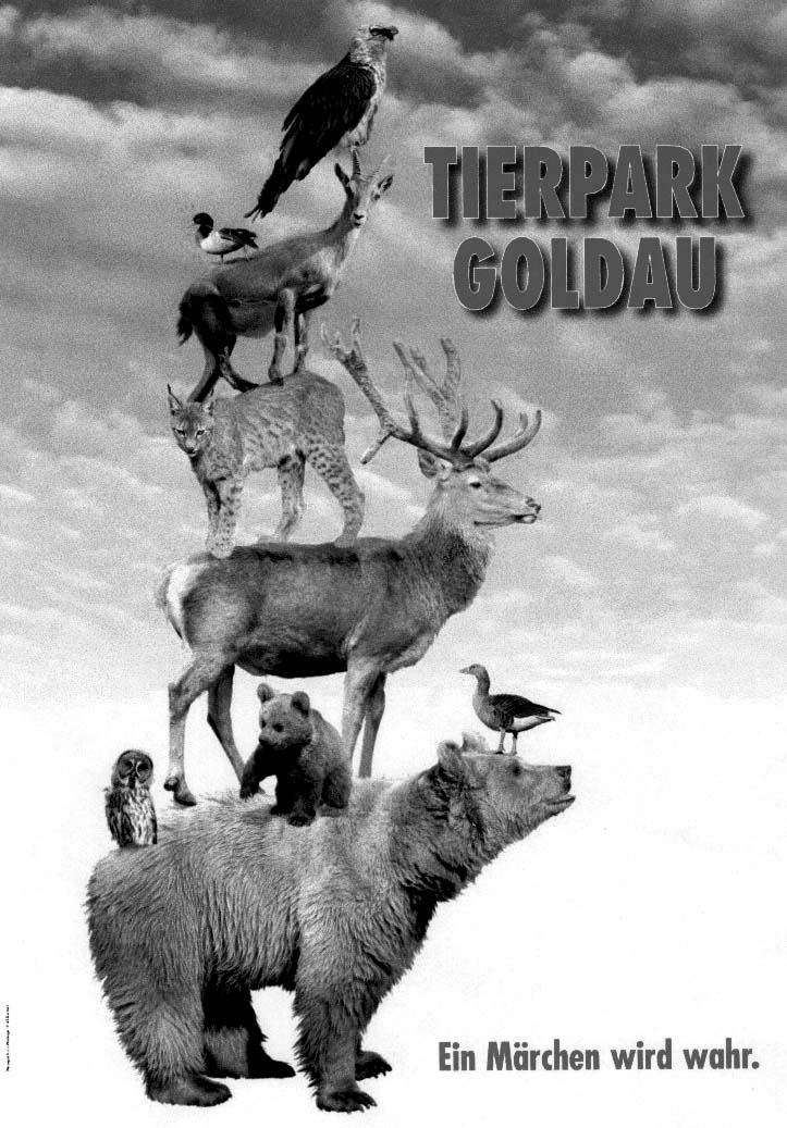 75 Jahre Natur- und Tierpark Goldau – Arth-online.ch